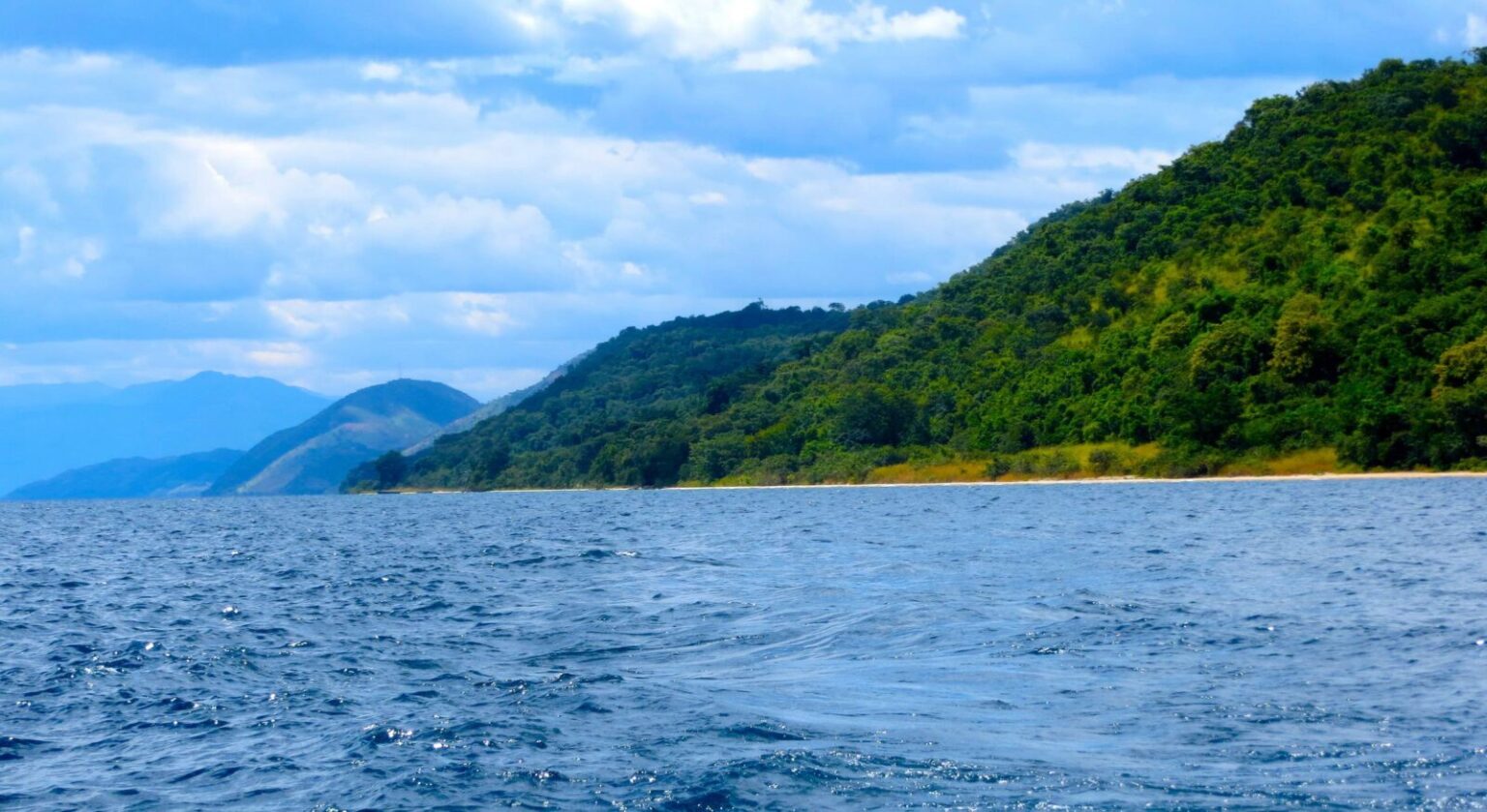 Gombe Stream National Park Guide: Chimpanzee Trekking on Lake Tanganyika