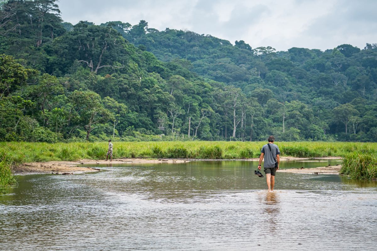 Ivindo National Park Guide: Wildlife, Waterfalls & Rainforest Safaris ...