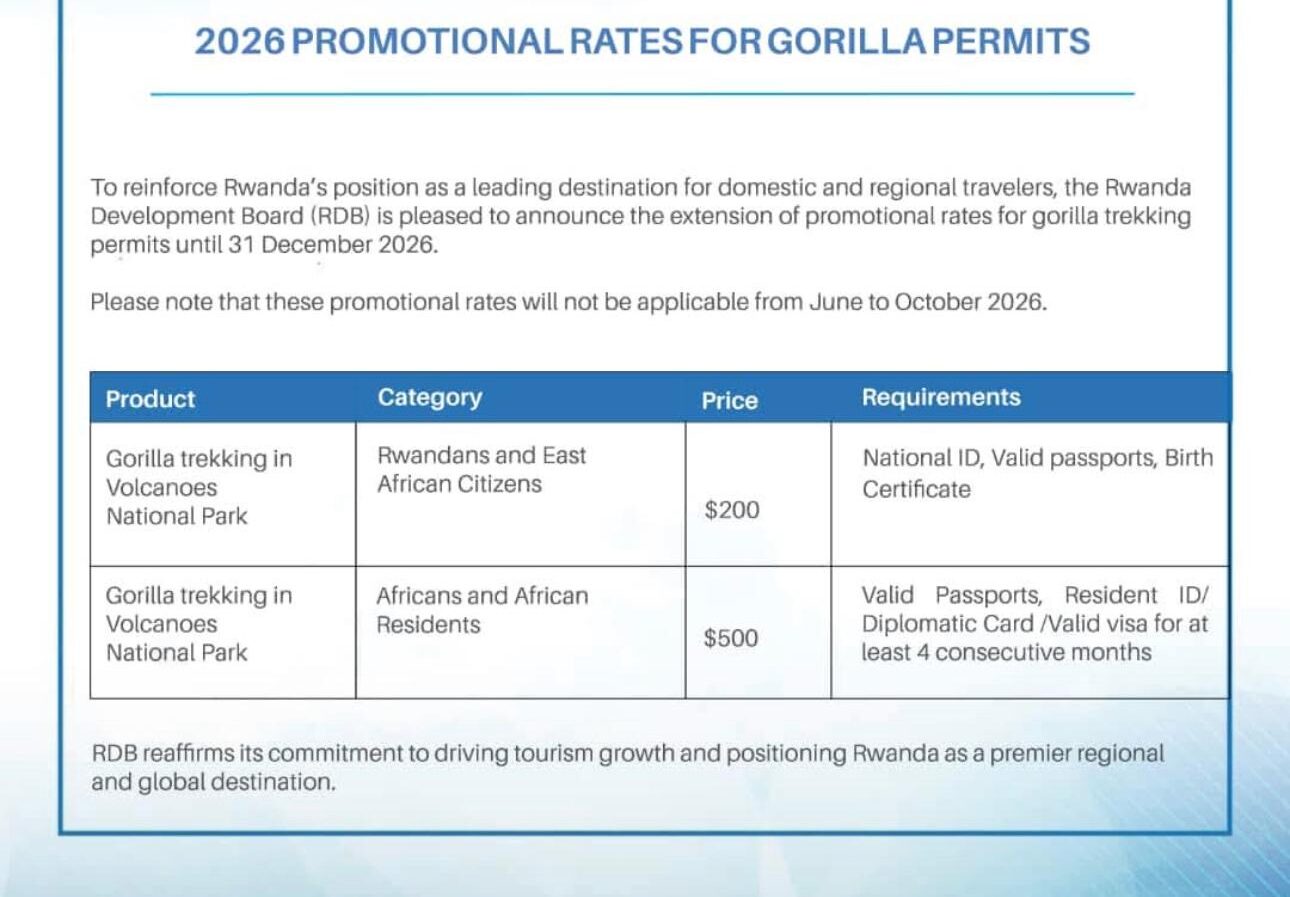 2026 Promotional Gorilla Permit Rates in Rwanda